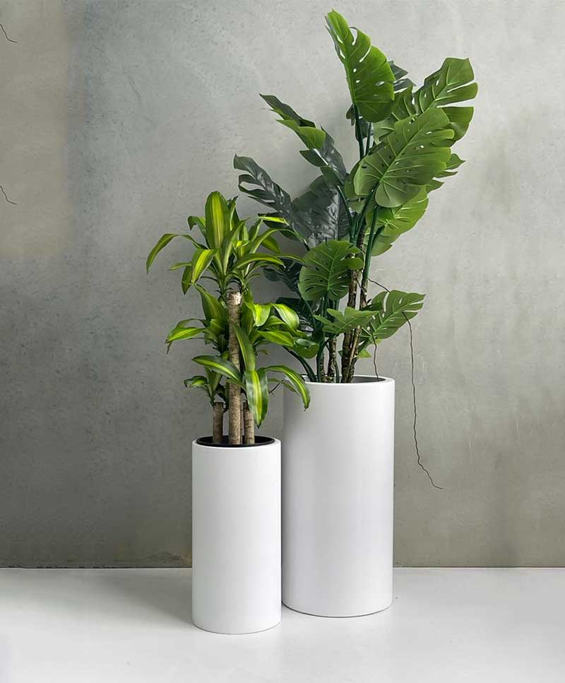 Danish Tall Cylinder – Potsngrow